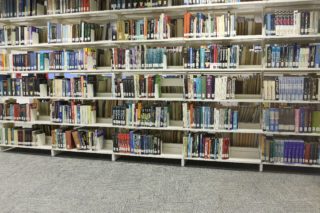 What are Scholarly Sources and where can you find them?